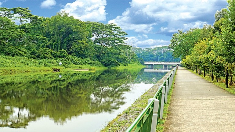 Landed Property for Sale - Value Buy Cluster House @ Springleaf Villas